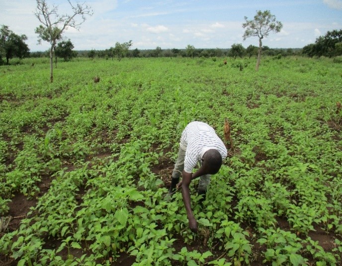 Empowering Youth Through Young Africa Works | MUCOBADI